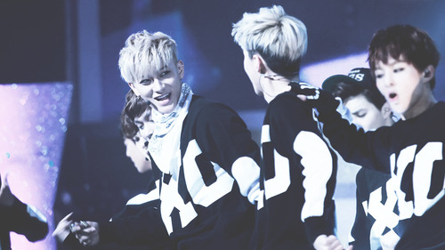 EXO 텀블러짤 털이 : 239 - 인스티즈(instiz) 엑소 카테고리