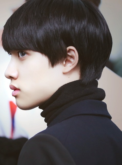 EXO 텀블러짤 털이 : 248 - 인스티즈(instiz) 엑소 카테고리