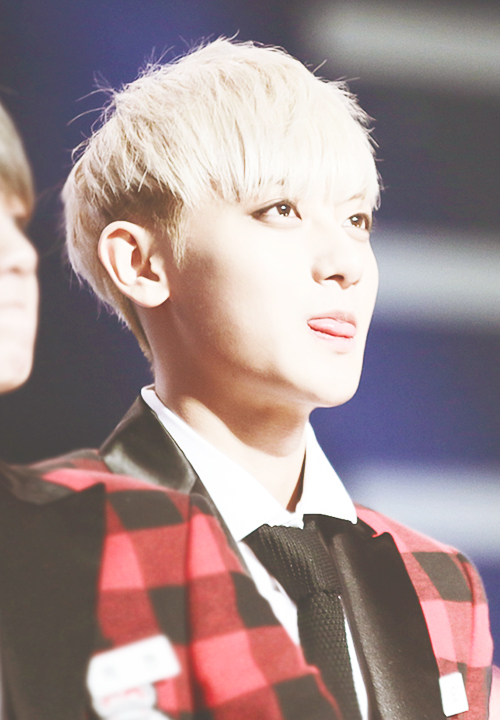 EXO 텀블러짤 털이 : 239 - 인스티즈(instiz) 엑소 카테고리