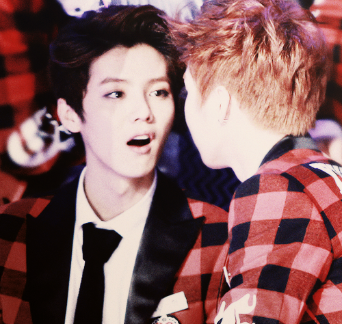 EXO 텀블러짤 털이 : 239 - 인스티즈(instiz) 엑소 카테고리