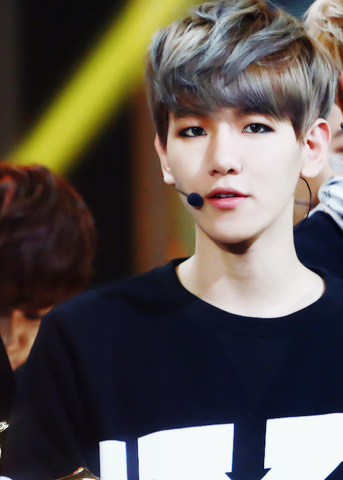 EXO 텀블러짤 털이 : 238 - 인스티즈(instiz) 엑소 카테고리