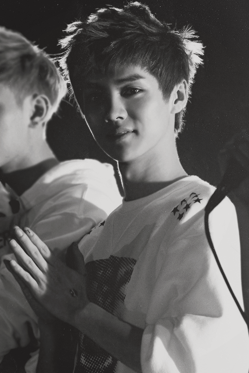 EXO 텀블러짤 털이 :: 123 - 인스티즈(instiz) 엑소 카테고리