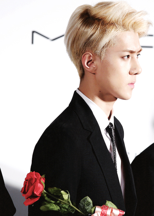 EXO 텀블러짤 털이 :: 176 - 인스티즈(instiz) 엑소 카테고리