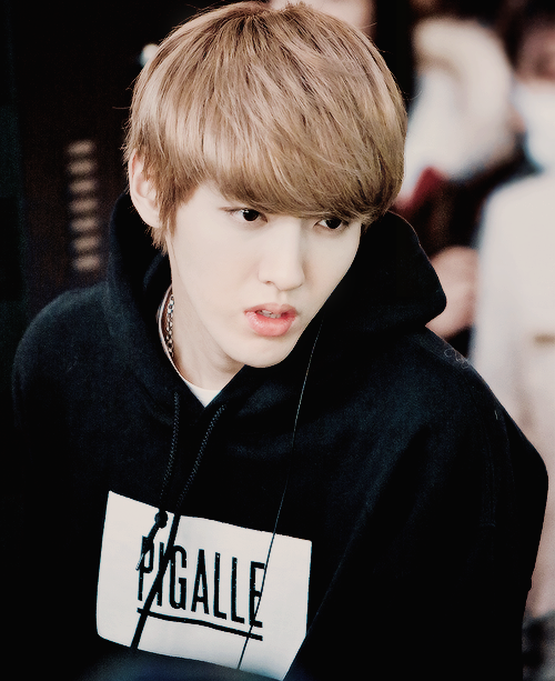 EXO 텀블러짤 털이 : 231 - 인스티즈(instiz) 엑소 카테고리