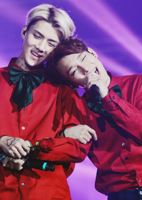 EXO 텀블러짤 털이 : 233 - 인스티즈(instiz) 엑소 카테고리