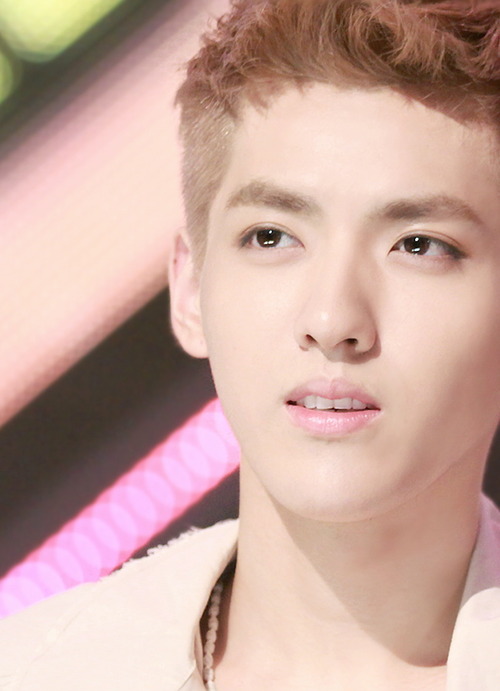 EXO 텀블러짤 털이 :: 209 - 인스티즈(instiz) 엑소 카테고리