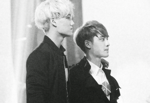 EXO 텀블러짤 털이 :: 150 - 인스티즈(instiz) 엑소 카테고리