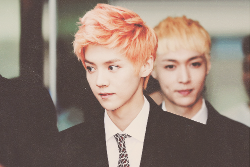 EXO 텀블러짤 털이 :: 155 - 인스티즈(instiz) 엑소 카테고리