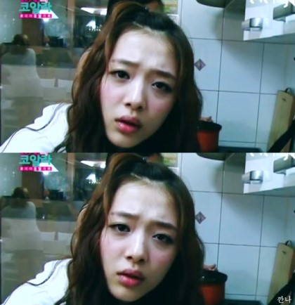 설리 사진움짤 182개 (감사하면 꿇어라) - 인스티즈(instiz) f(x) 카테고리