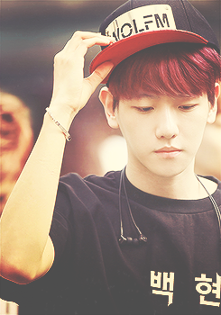 EXO 텀블러짤 털이 :: 117 - 인스티즈(instiz) 엑소 카테고리