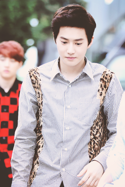 EXO 텀블러짤 털이 :: 52 - 인스티즈(instiz) 엑소 카테고리