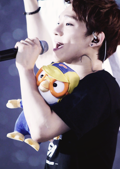 EXO 텀블러짤 털이 : 233 - 인스티즈(instiz) 엑소 카테고리