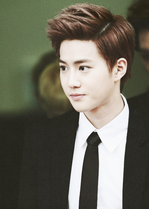 EXO 텀블러짤 털이 :: 151 - 인스티즈(instiz) 엑소 카테고리