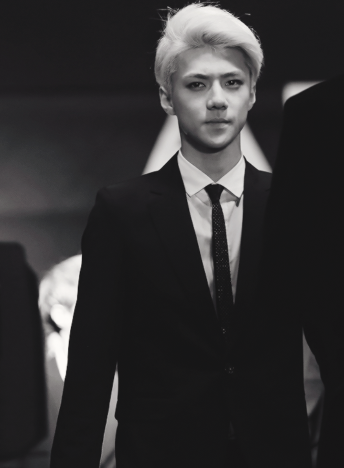 EXO 텀블러짤 털이 : 231 - 인스티즈(instiz) 엑소 카테고리