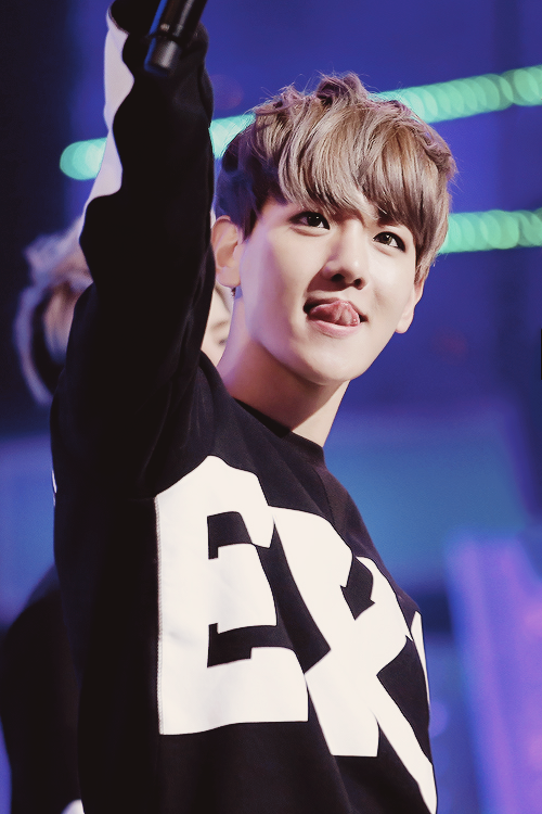 EXO 텀블러짤 털이 : 238 - 인스티즈(instiz) 엑소 카테고리