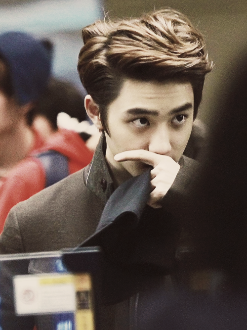 EXO 텀블러짤 털이 :: 79 - 인스티즈(instiz) 엑소 카테고리