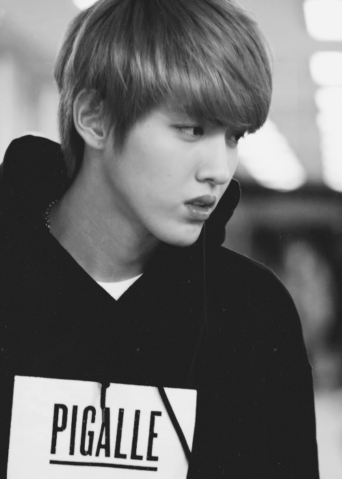 EXO 텀블러짤 털이 : 231 - 인스티즈(instiz) 엑소 카테고리