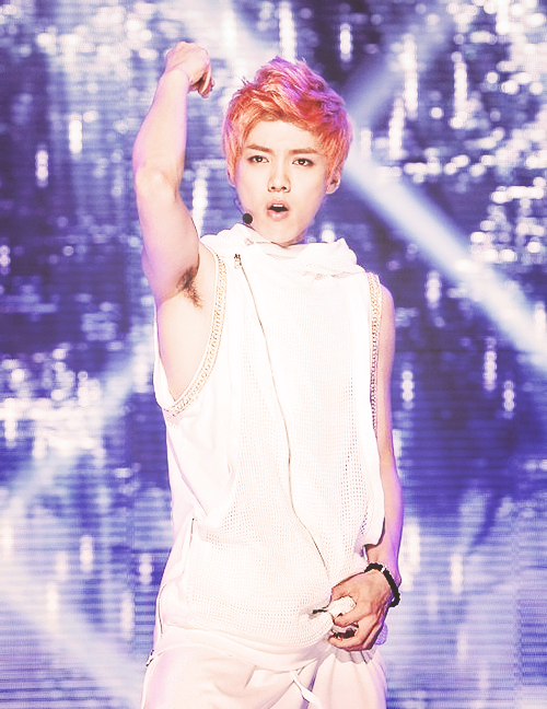 EXO 텀블러짤 털이 :: 151 - 인스티즈(instiz) 엑소 카테고리