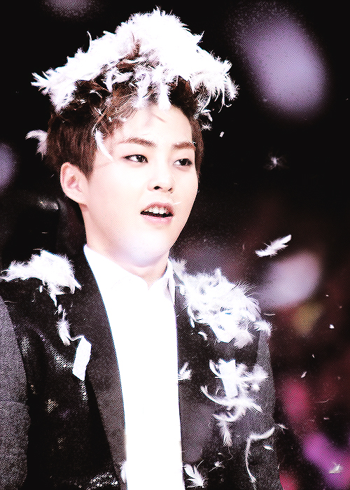 EXO 텀블러짤 털이 : 250 - 인스티즈(instiz) 엑소 카테고리