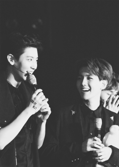 EXO 텀블러짤 털이 : 233 - 인스티즈(instiz) 엑소 카테고리