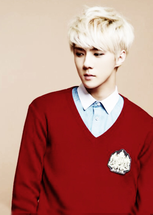 EXO 텀블러짤 털이 :: 54 - 인스티즈(instiz) 엑소 카테고리