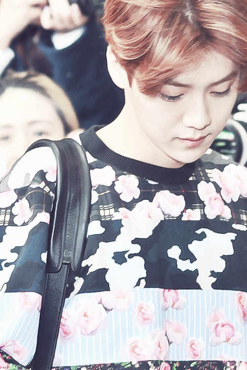 EXO 텀블러짤 털이 : 251 - 인스티즈(instiz) 엑소 카테고리