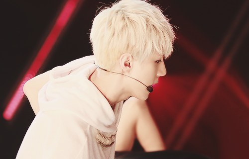 EXO 텀블러짤 털이 :: 209 - 인스티즈(instiz) 엑소 카테고리