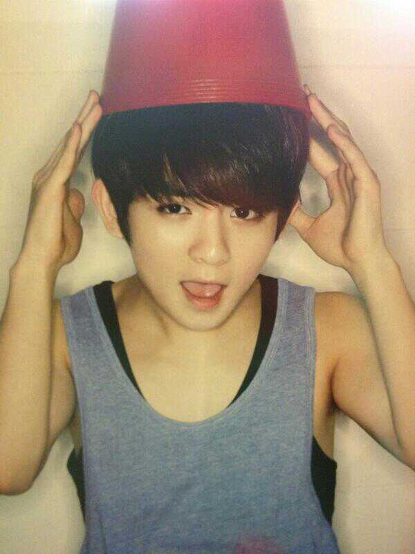 보기만해도 행복한 95라인들 - 인스티즈(instiz) 연예잡담 카테고리