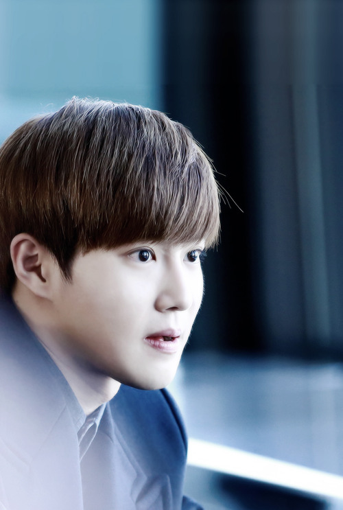 EXO 텀블러짤 털이 :: 202 - 인스티즈(instiz) 엑소 카테고리