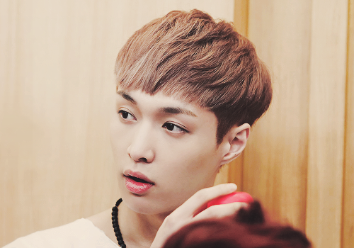 EXO 텀블러짤 털이 :: 217 - 인스티즈(instiz) 엑소 카테고리