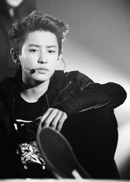 EXO 텀블러짤 털이 : 233 - 인스티즈(instiz) 엑소 카테고리