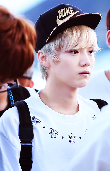 EXO 텀블러짤 털이 :: 60 - 인스티즈(instiz) 엑소 카테고리