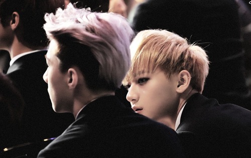 EXO 텀블러짤 털이 : 248 - 인스티즈(instiz) 엑소 카테고리