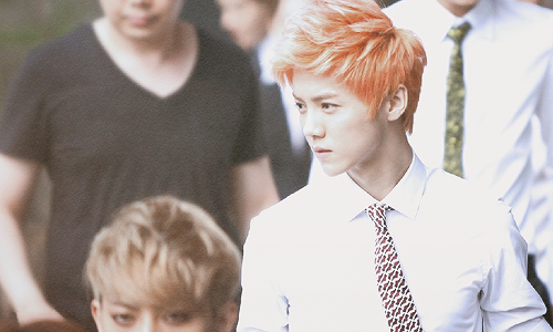 EXO 텀블러짤 털이 :: 155 - 인스티즈(instiz) 엑소 카테고리