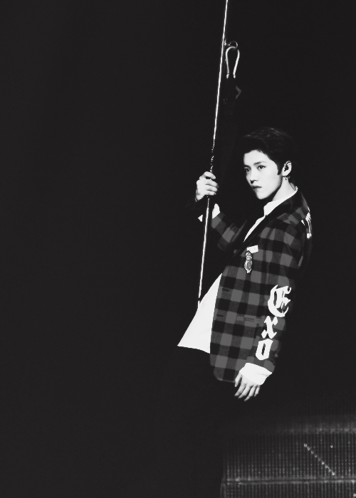 EXO 텀블러짤 털이 : 239 - 인스티즈(instiz) 엑소 카테고리