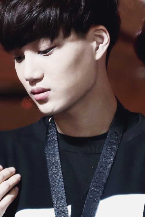 EXO 텀블러짤 털이 : 239 - 인스티즈(instiz) 엑소 카테고리