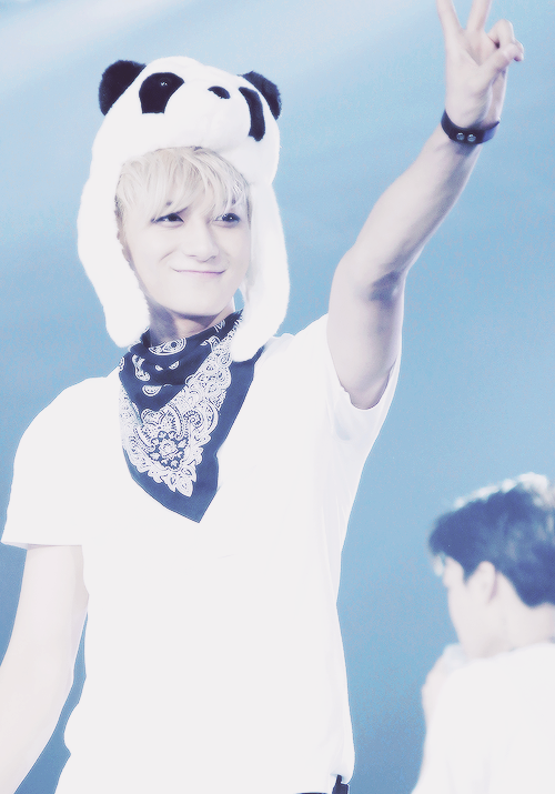 EXO 텀블러짤 털이 : 238 - 인스티즈(instiz) 엑소 카테고리