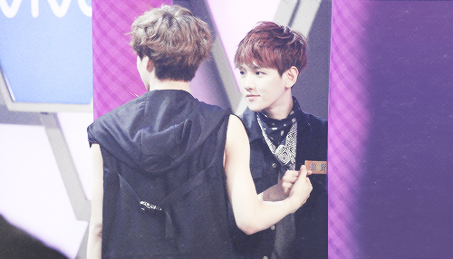 EXO 텀블러짤 털이 :: 117 - 인스티즈(instiz) 엑소 카테고리