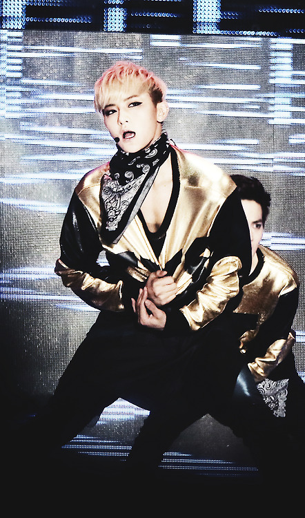 EXO 텀블러짤 털이 : 250 - 인스티즈(instiz) 엑소 카테고리