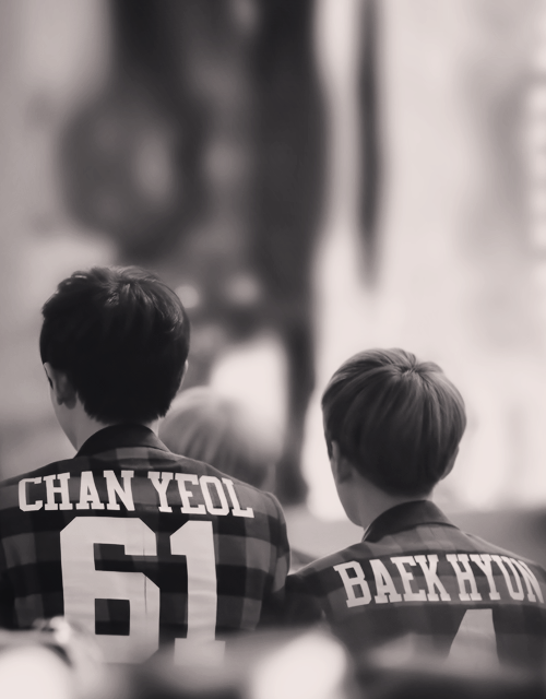 EXO 텀블러짤 털이 : 239 - 인스티즈(instiz) 엑소 카테고리