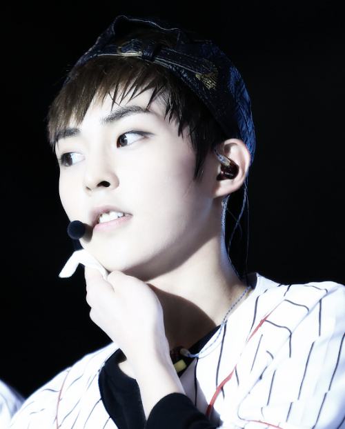 EXO 텀블러짤 털이 : 239 - 인스티즈(instiz) 엑소 카테고리