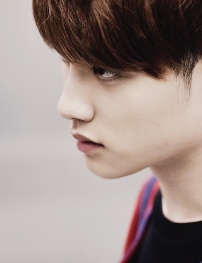 EXO 텀블러짤 털이 :: 102 - 인스티즈(instiz) 엑소 카테고리