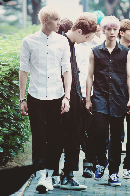 EXO 텀블러짤 털이 :: 150 - 인스티즈(instiz) 엑소 카테고리