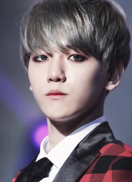 EXO 텀블러짤 털이 : 239 - 인스티즈(instiz) 엑소 카테고리