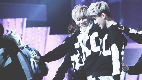 EXO 텀블러짤 털이 : 239 - 인스티즈(instiz) 엑소 카테고리