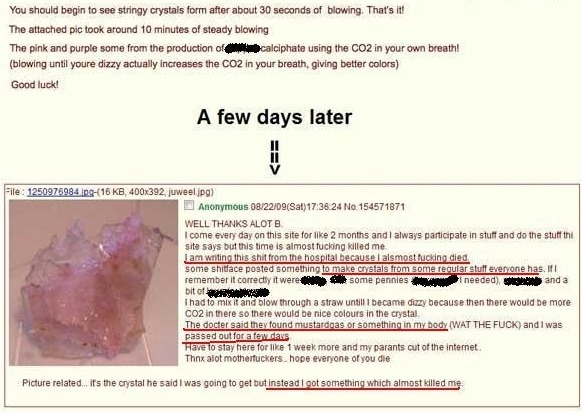 미국판 DC 4chan - 인스티즈(instiz) 이슈 카테고리