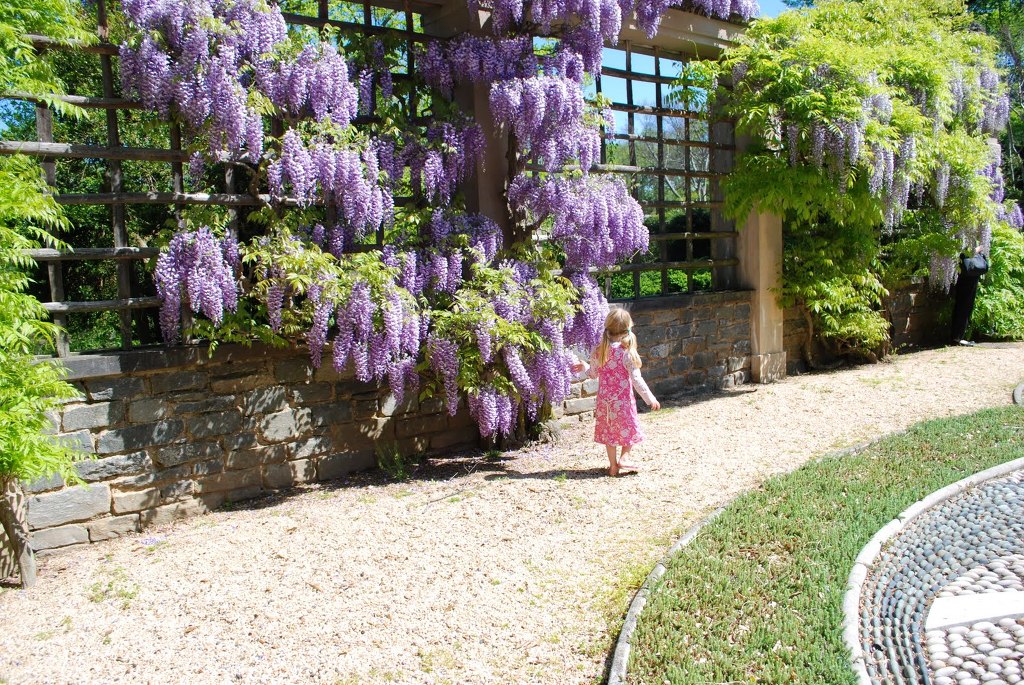 세계여행 시리즈 16편 - 거닐고 싶은 그곳, 세계의 정원 (Garden) - 인스티즈(instiz) 이슈 카테고리