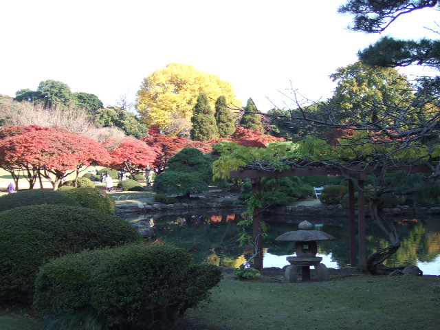 세계 GDP 1위도시 도쿄의 모습 - 인스티즈(instiz) 이슈 카테고리