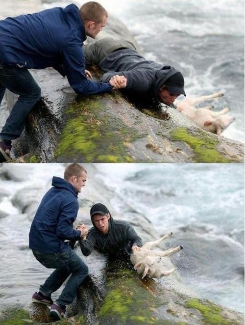 세계를 감동시킨 훈훈한 사진 Best 10 - 인스티즈(instiz) 이슈 카테고리