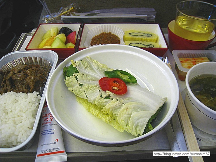 비행기 기내식 모음.jpeg - 인스티즈(instiz) 이슈 카테고리